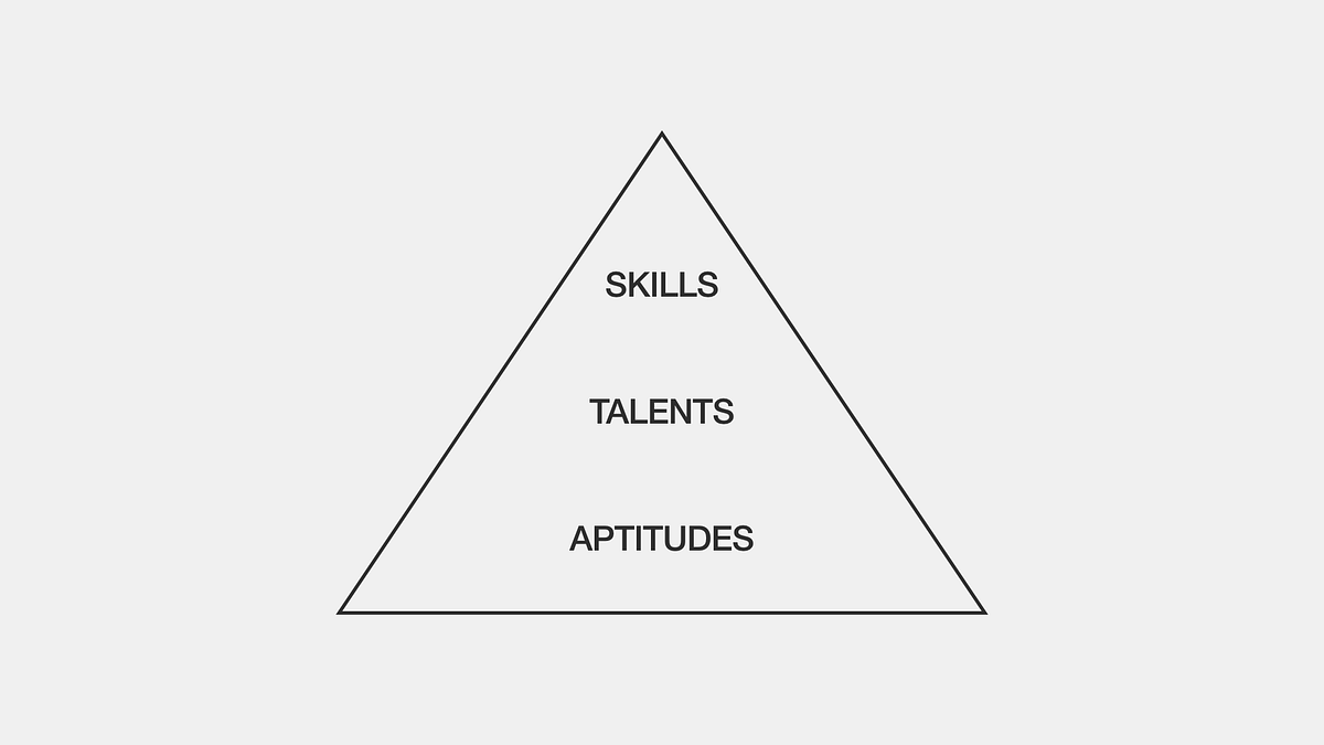 Embrace Your Aptitudes: The Path to Unleashing True Talent | by Ibad ...