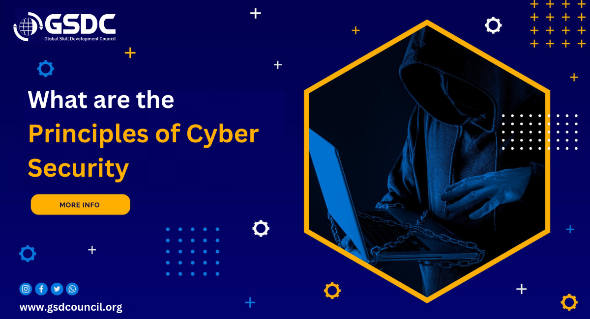 What are the Principles of Cyber Security | by Anna Mathew | Medium