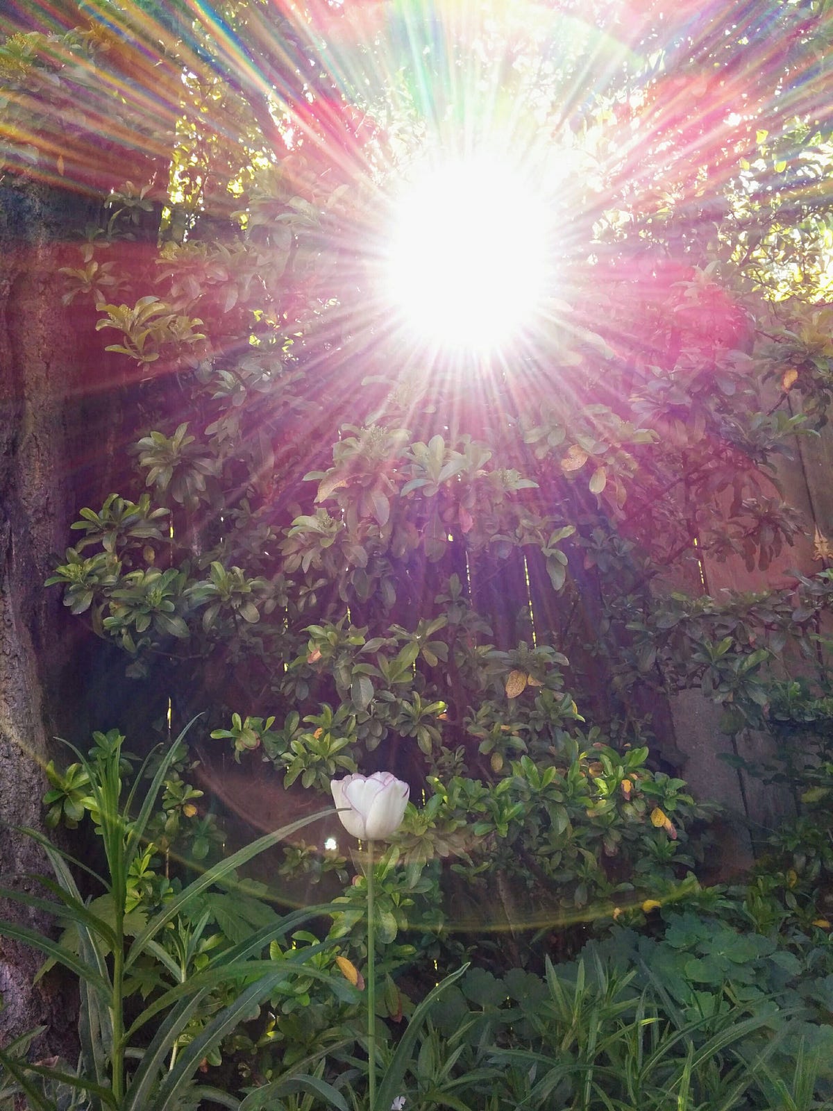 Grace. what have i done | by Joyce Fong | Medium