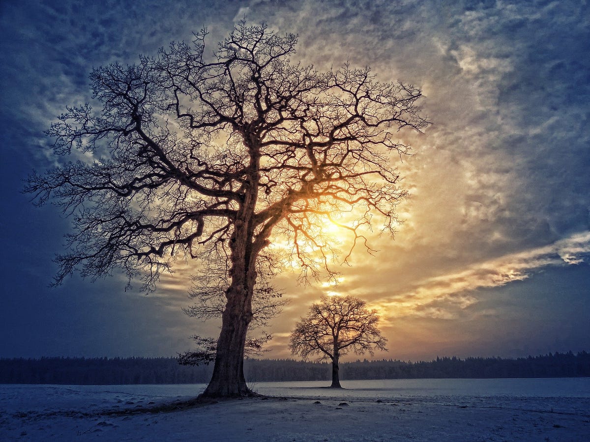 The Simple Things in Life Are the Most Incredible | by Bridget Webber ...