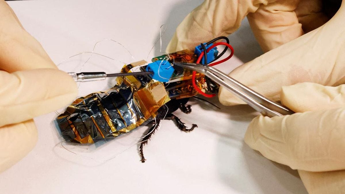 Misi Khusus Robot Kecoak Madagaskar Buatan Jepang | by Serangkai Kata ...