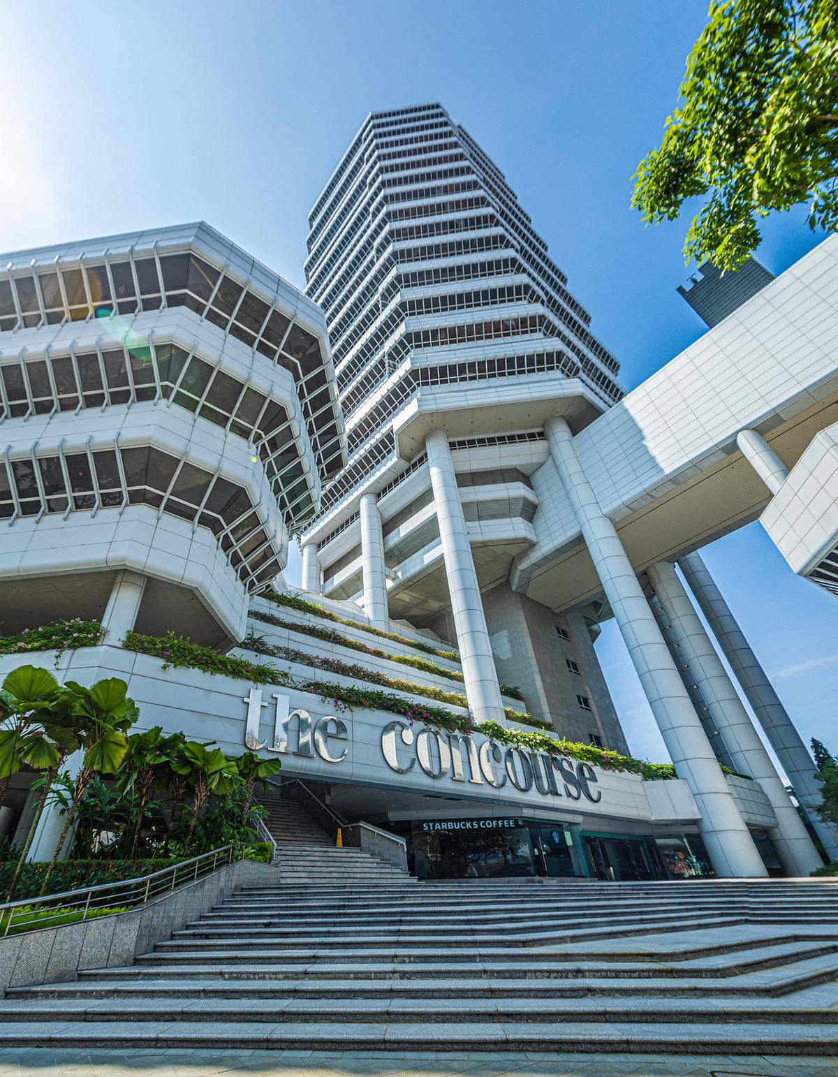 Nanyang Science and Technology College (NSTC): An Overview | by 李嘉祐 ...