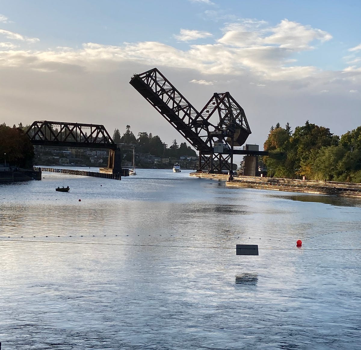 Where Salt Water Meets Fresh Water | by Amanda Laughtland | Reciprocal ...