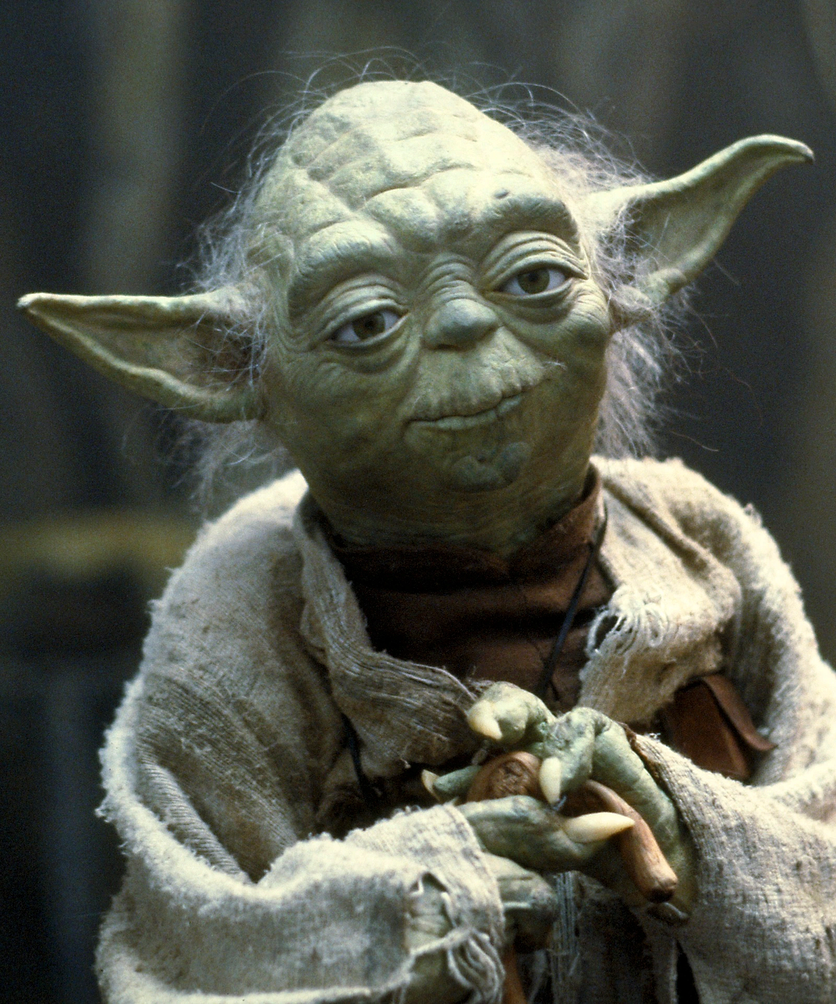 Open-Source Jedi. LUKE: Yoda, I’ve been hearing a lot… | by Will ...