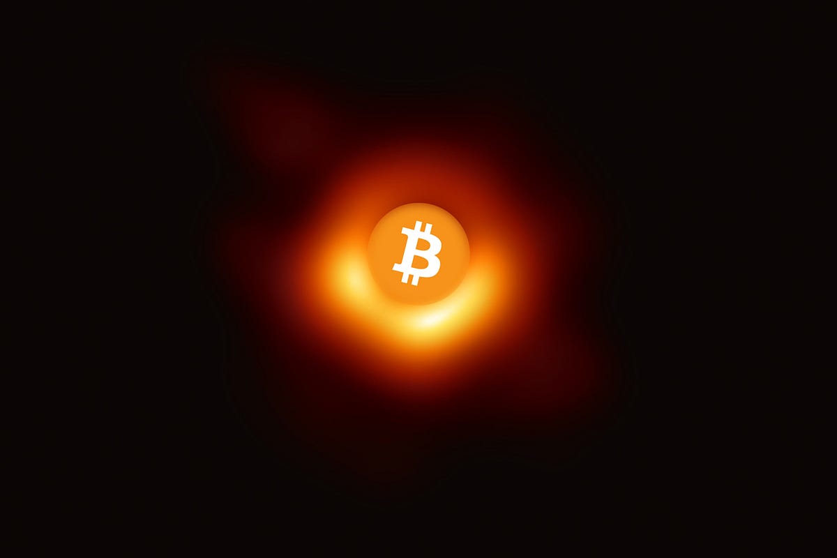 Bitcoin’s Gravity. How idea-value feedback loops are… | by Gigi | Medium