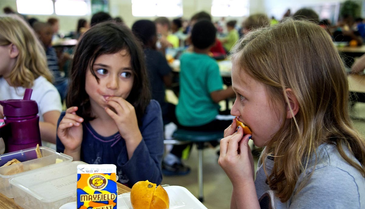 Kids Are Going Hungry And School Lunch Shaming Isn’t Helping | by K ...