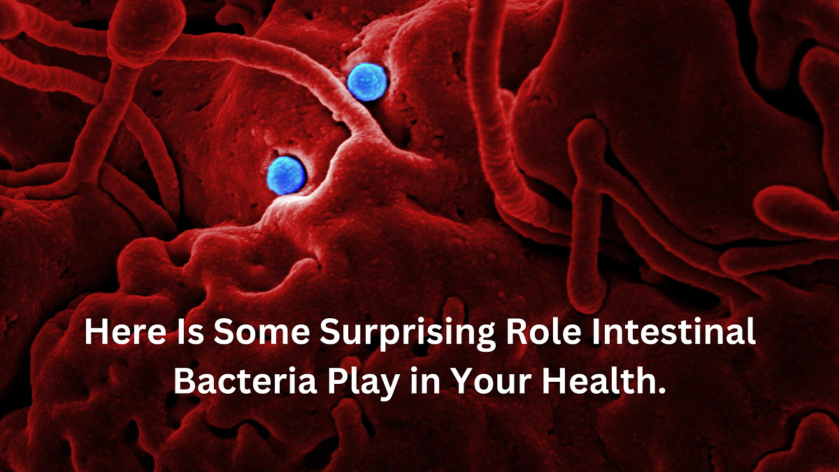 Here Are Some Surprising Role Intestinal Bacteria Play in Your Health ...