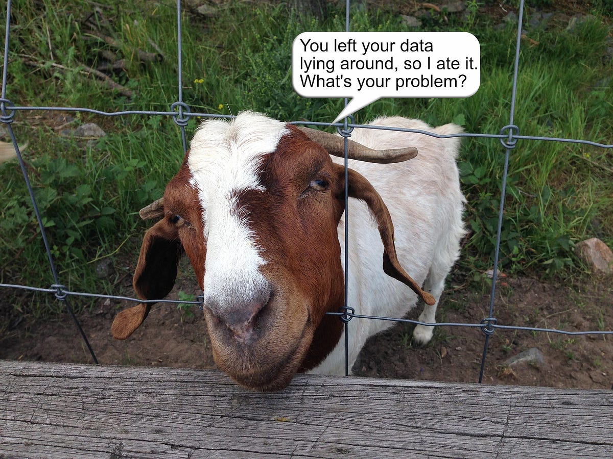 Dude Where’s My Data?. Let’s face it, it’s all over the place… | by ...