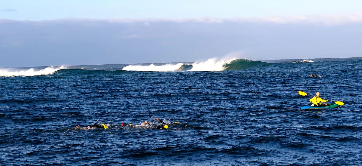 Diving Into the Open Water. It’s not easy to get started with open ...