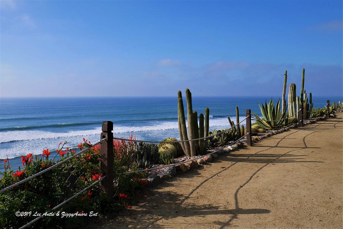 You Are Worth My While - Bouncin’ and Behavin’ Poems - Medium