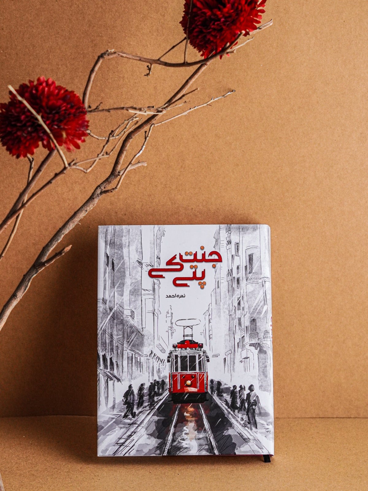 Jannat k Patay Complete Short Story of Novel | by Falak Noor | Medium