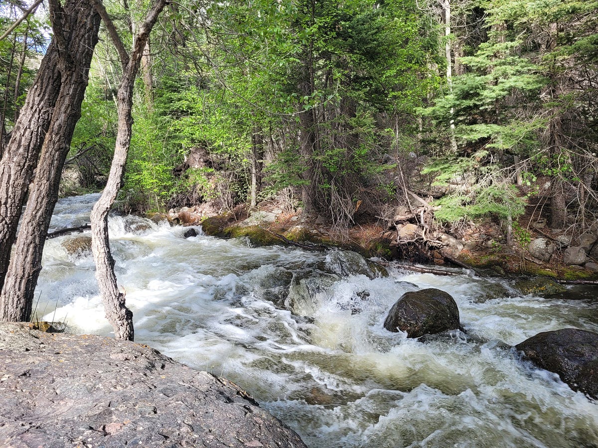 The Importance of an Offline Life | by Kim Roberts | Jun, 2024 | Medium