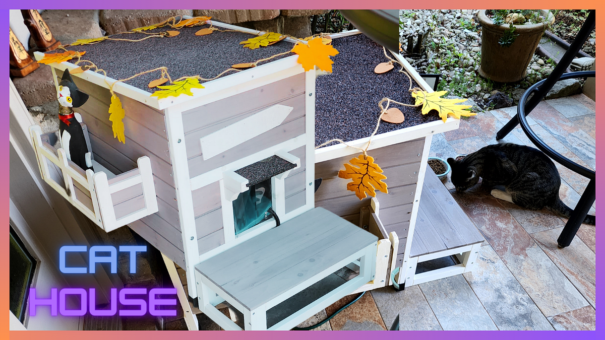 Easy DIY Cat House Using Rockever Kit (by Fred — the cat) | by Three ...
