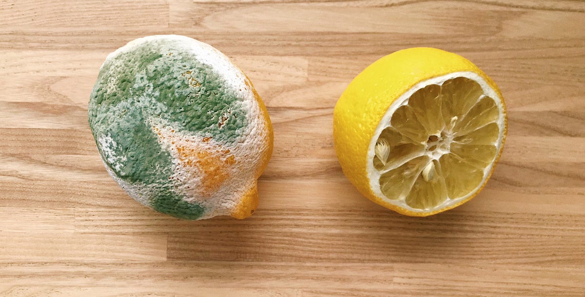 What You Need To Know About Mold In Your Food | by BodyBio | BodyBio ...