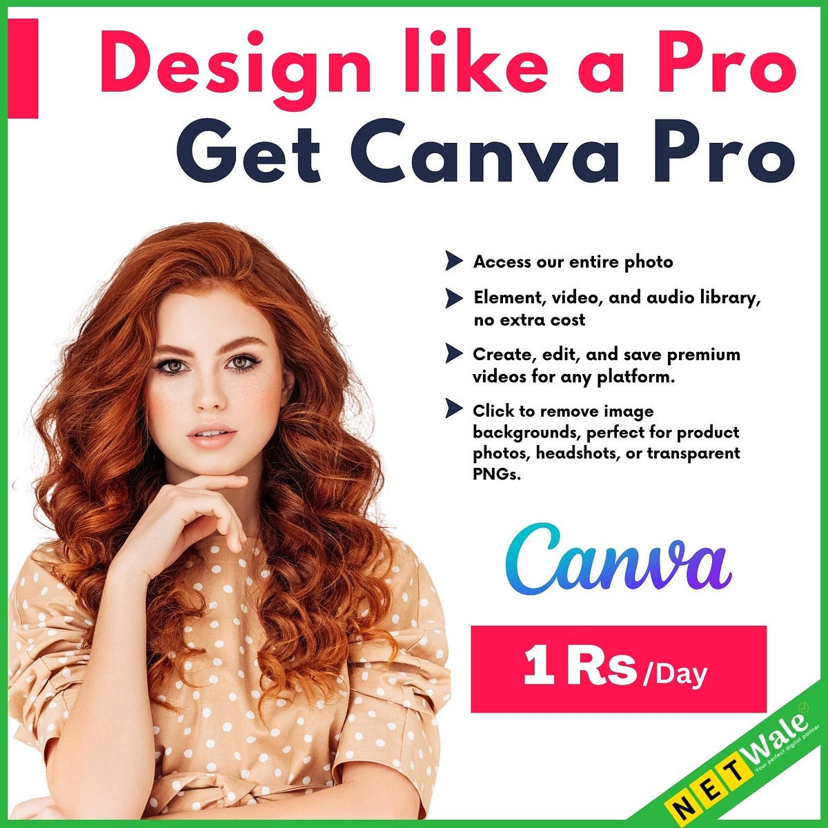 Canva Pro Video And Image Editing Software for 1 Rupees/Day - Netwale ...