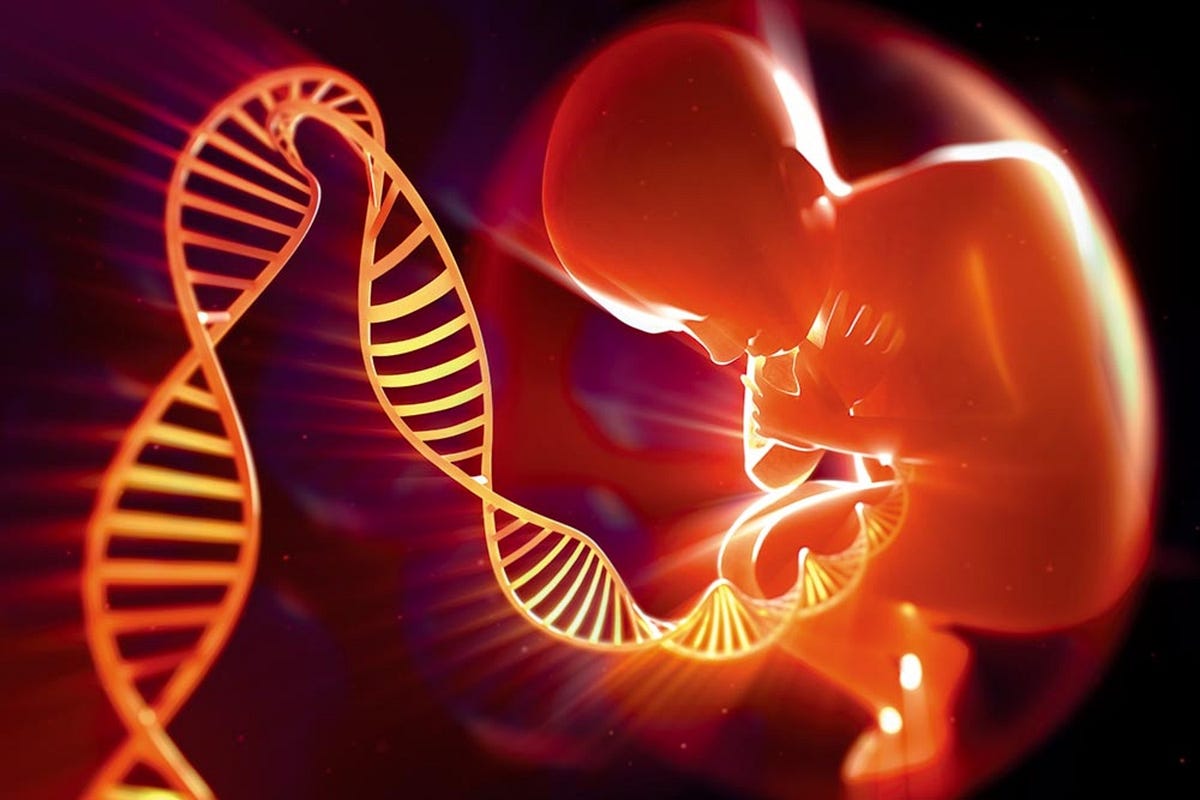 What are the main genetic disorders in modern times? | by Australian ...