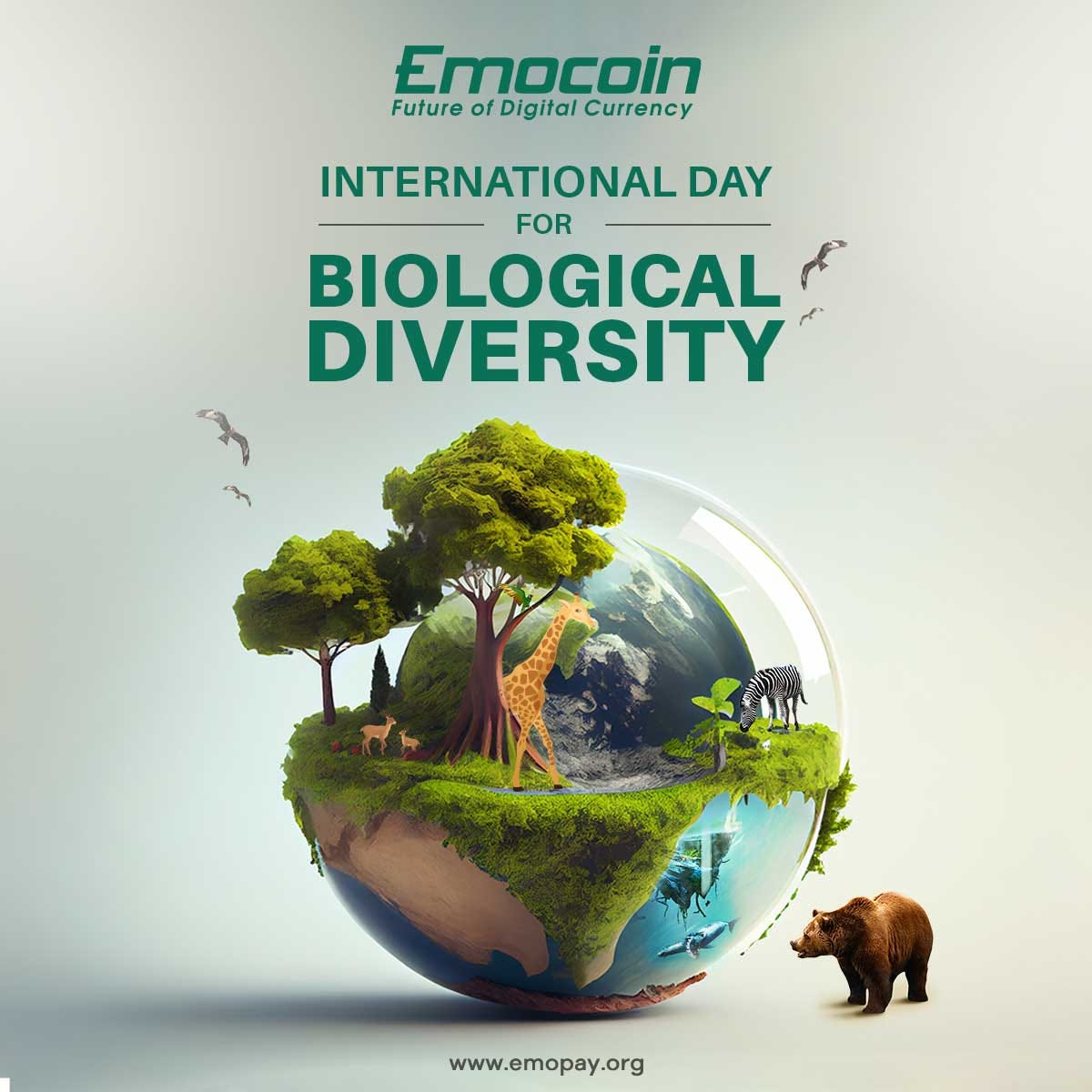 International Day for Biological Diversity - Emo Coin - Medium