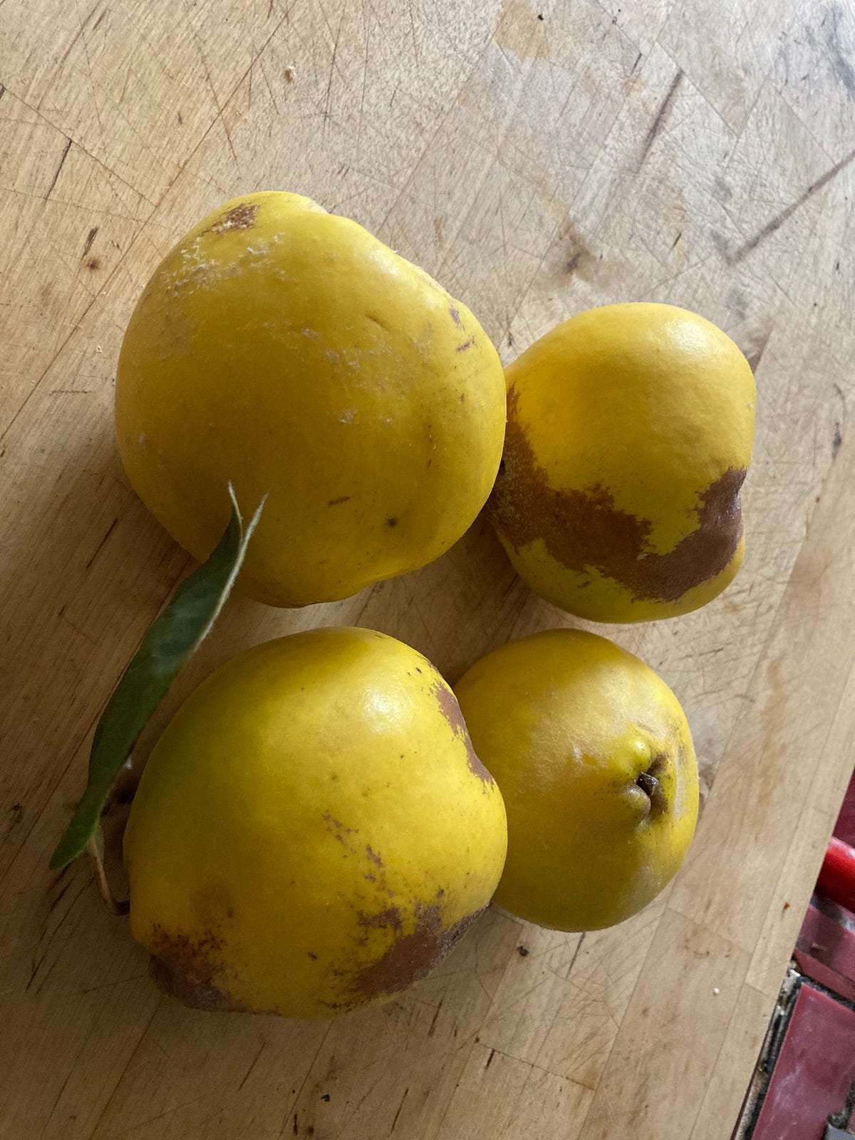 Quince, A Perfumed Fruit | by Penny Grubb | Six Word Photo Story Challenge