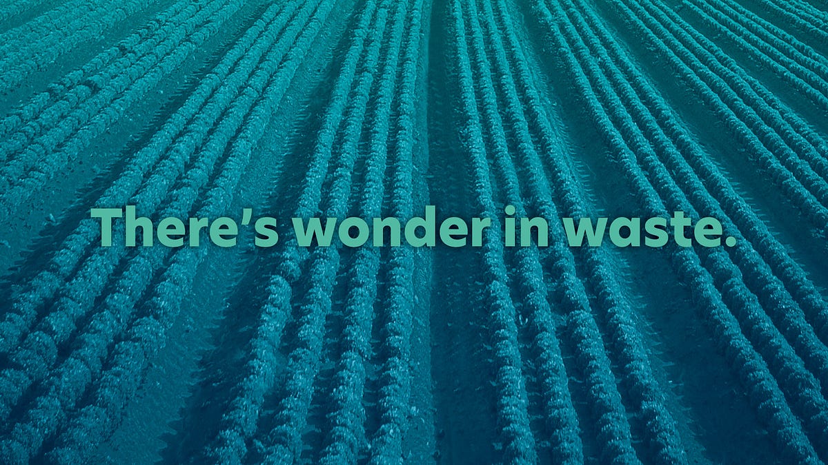 There’s Wonder in Waste.. Language is a fascinating thing. It… | by ...