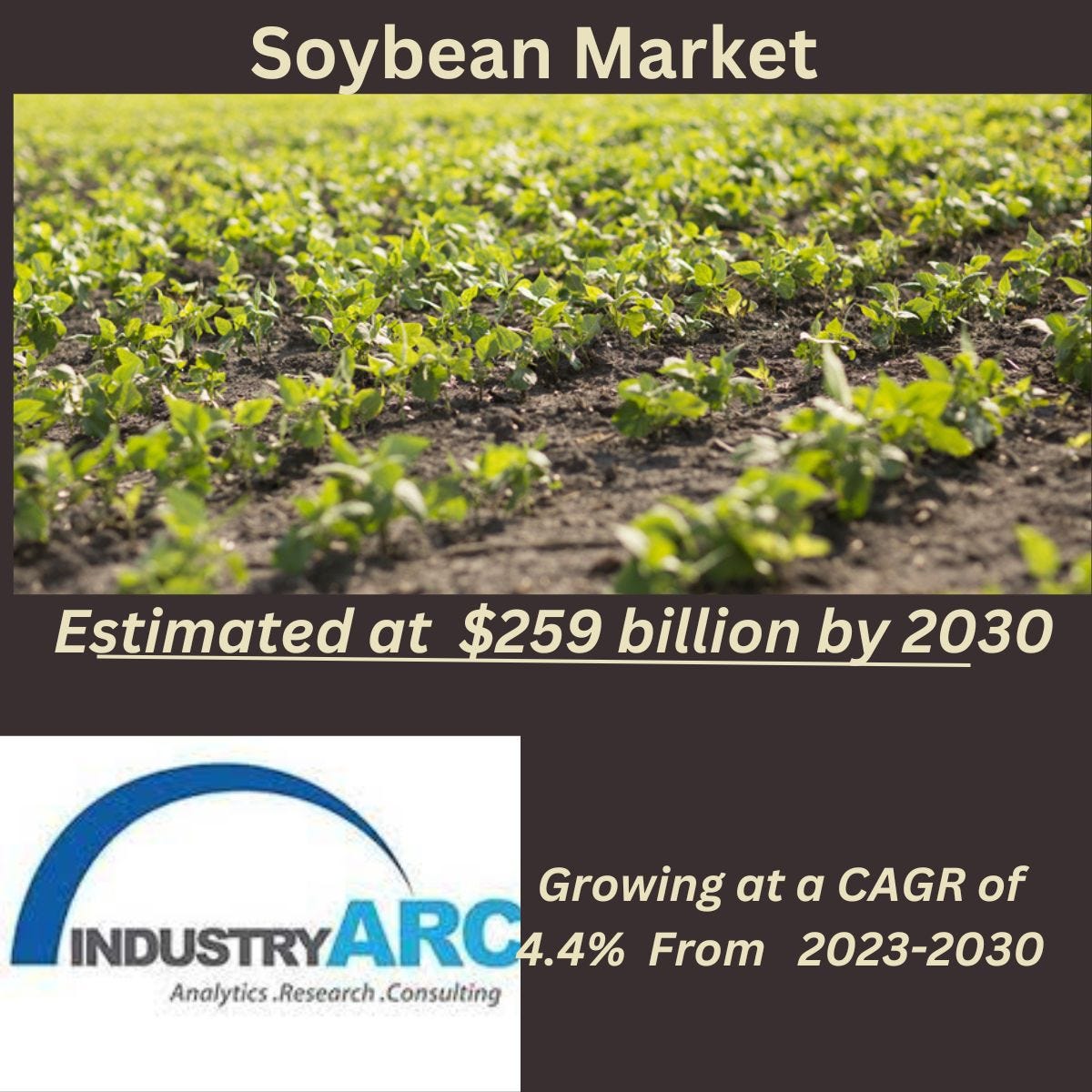 Soybean Market Forecast, 2023–2030 | by Divya Paidimalla | Medium