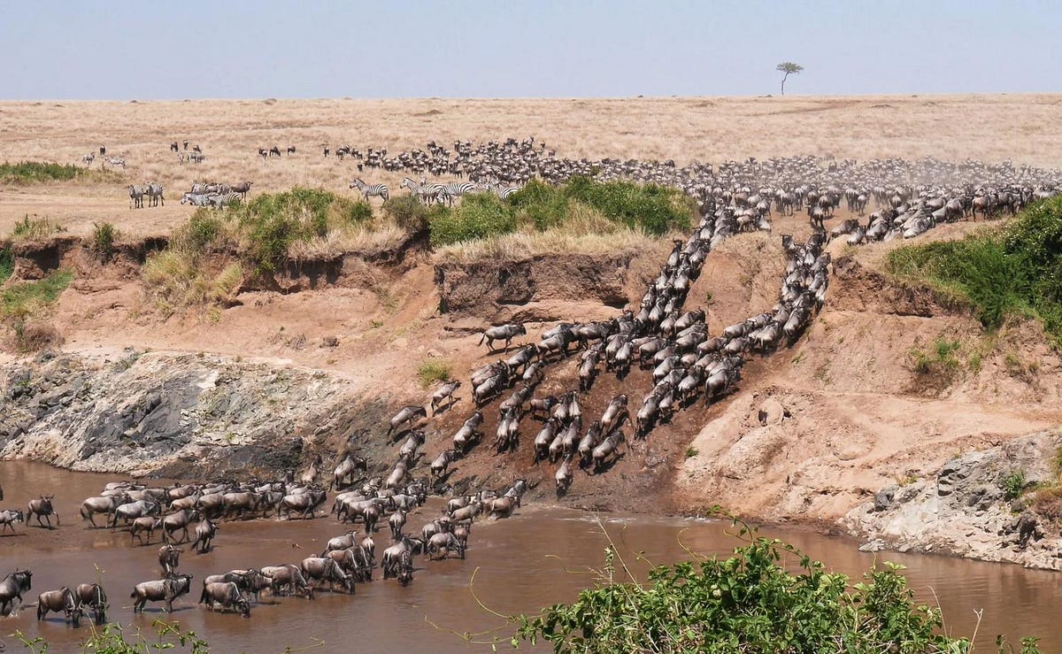 The big migration. As part of the Season 6 update of the… | by Mythical ...