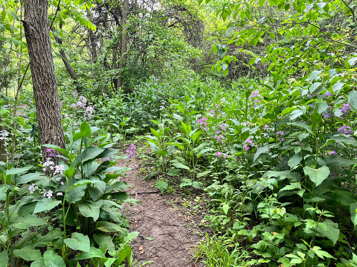 Is It Still Worth It To Write On Medium? | by Linda Ng | New Writers Welcome | Jun, 2023 | Medium