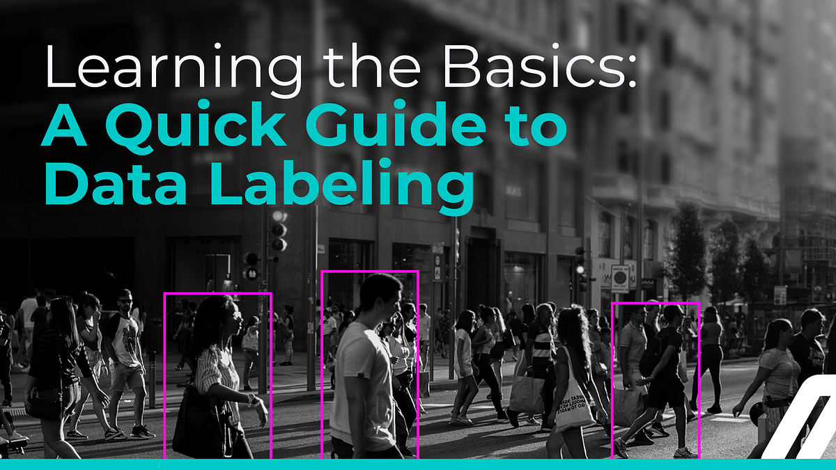 Learning the Basics: A Quick Guide to Data Labeling | by Mayra ...