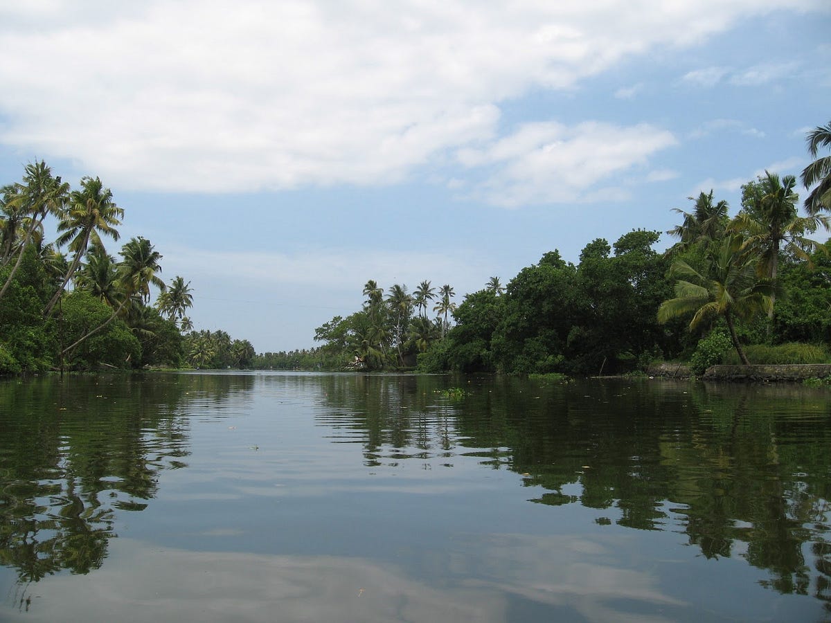 Once upon a time, on the banks of the Vembanad | by Sharmi Adhikary | Medium
