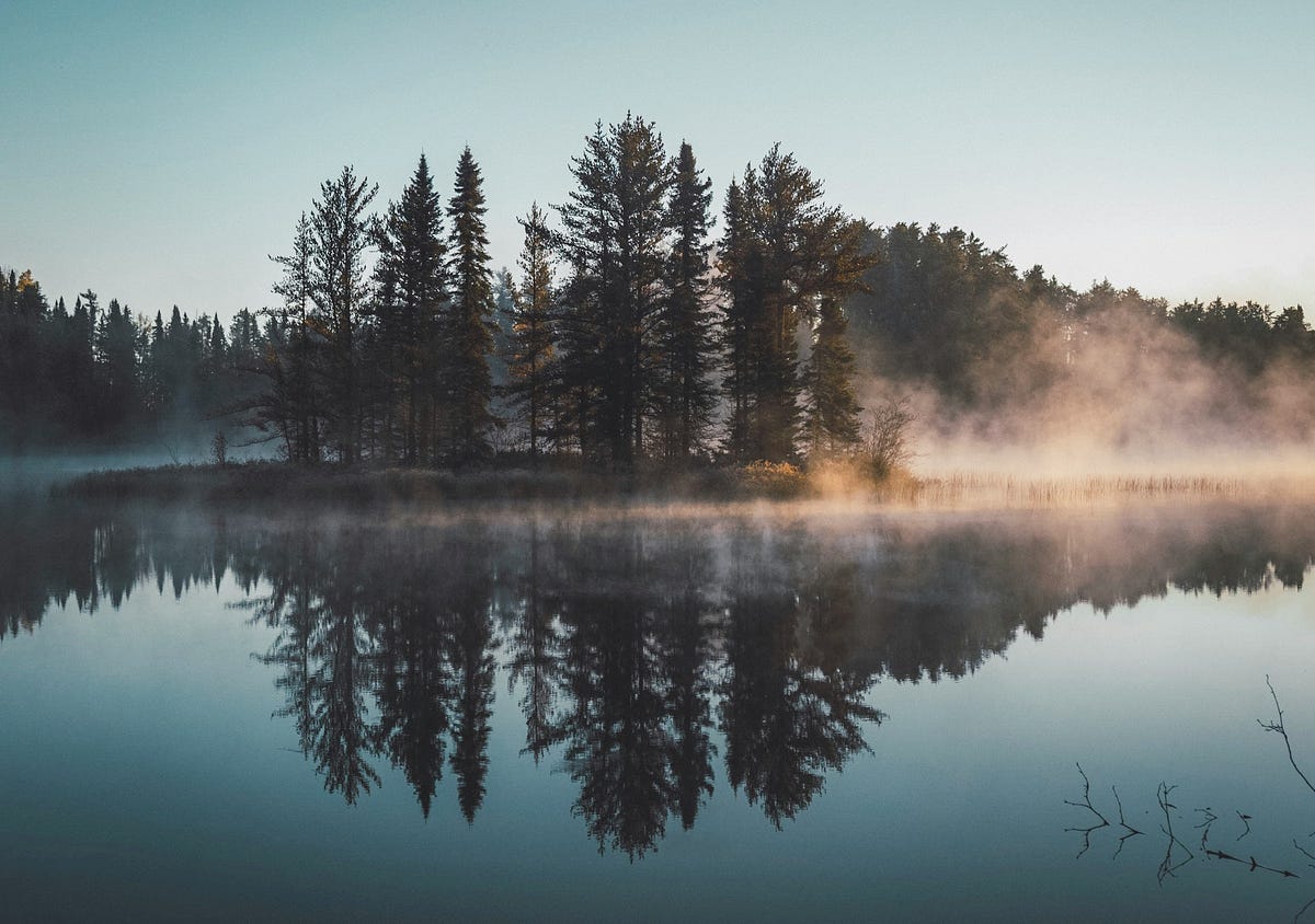 Taming JS Proxy API. With the plethora of libraries dealing… | by Andrea Giammarchi | Medium