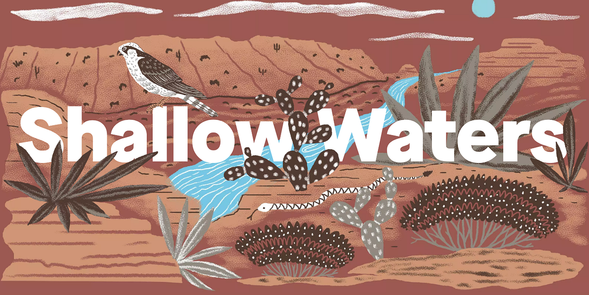 Case study: Quartz, Texas Observer team up to take on climate change in ...