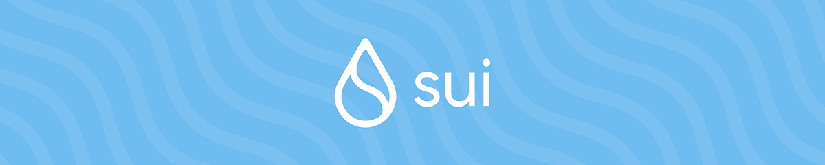 SUI Wallet complete Guide. Purpose | by DarrellFranklin | Medium
