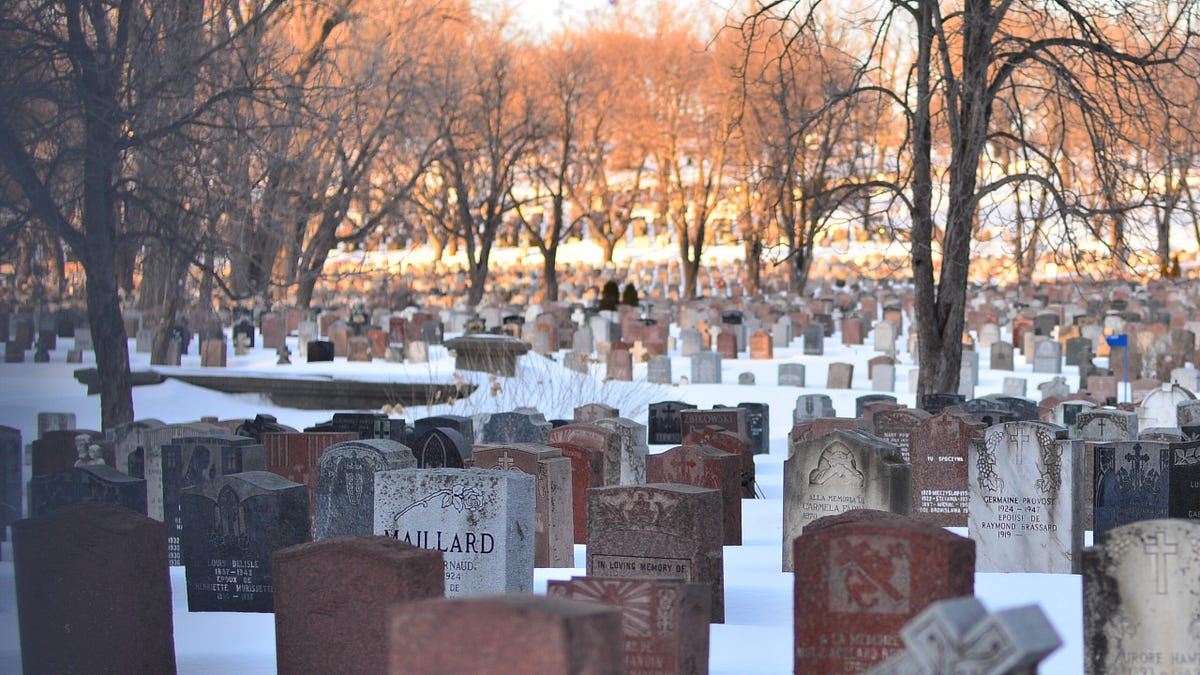 FAQ About The Cemetery For Winners | by Sarah James | Medium