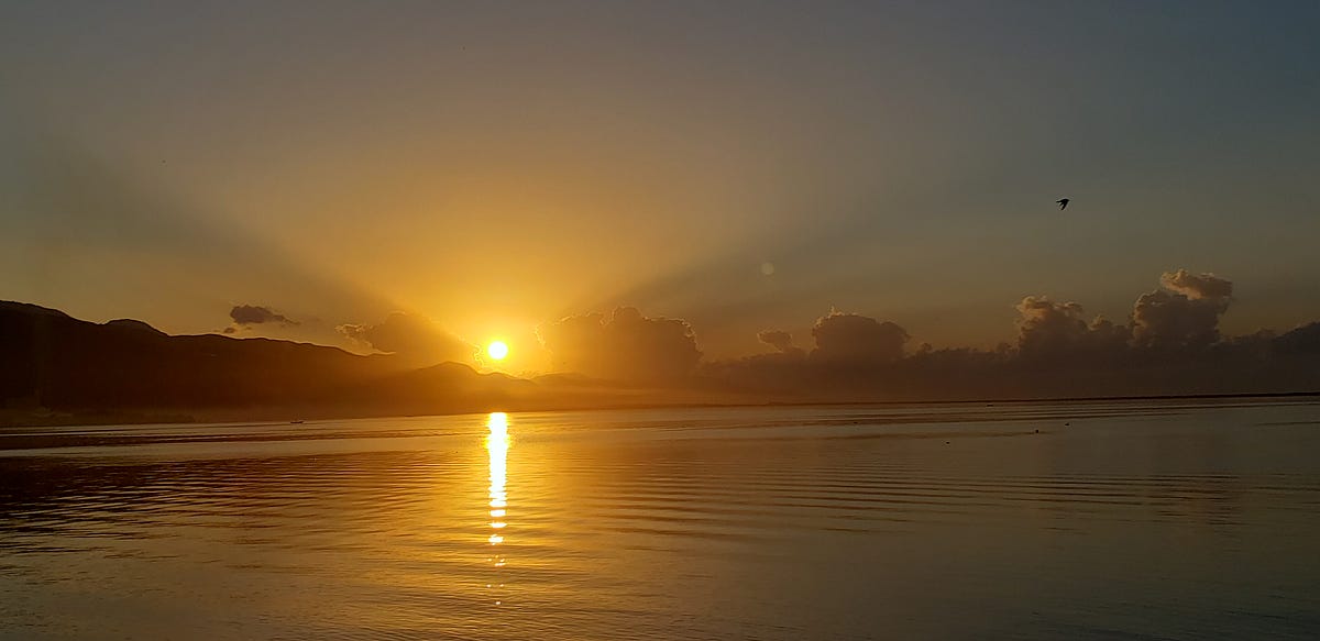 Five of Nature’s Qualities That Represent Me | by Annelise Lords | Soul ...