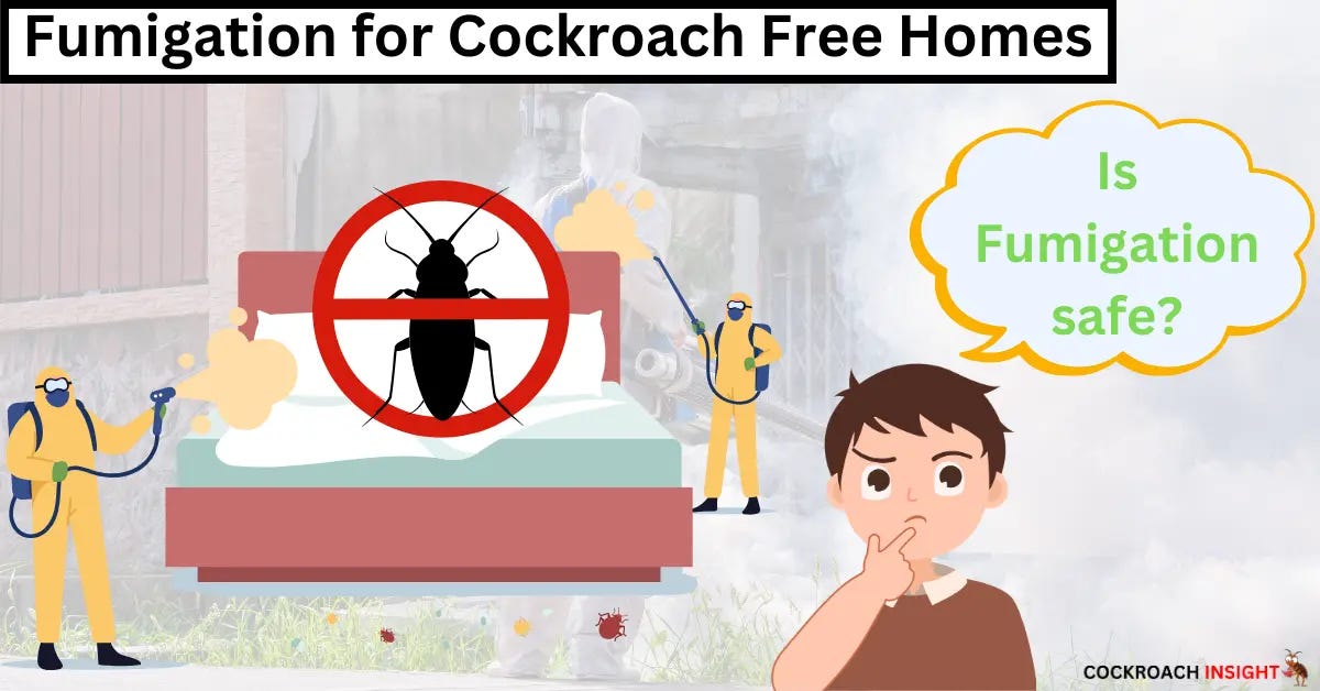 Fumigation for Cockroach-Free Homes | by Nihar Nayak | Jun, 2024 | Medium