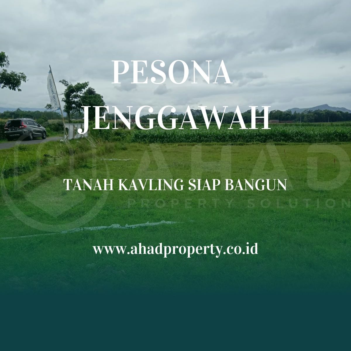 TANAH 30 JUTA SIAP BANGUN LAHAN MATANG - Sitiafifah - Medium