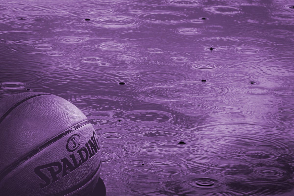Purple Reign. HAIKU #3 | by Lon Shapiro | THE WORD IS NOT ENOUGH | Medium