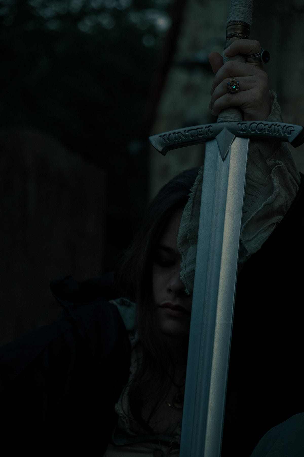 Summary of “The Sword Defiant” by Gareth Hanrahan. | by Sindi5 | Medium
