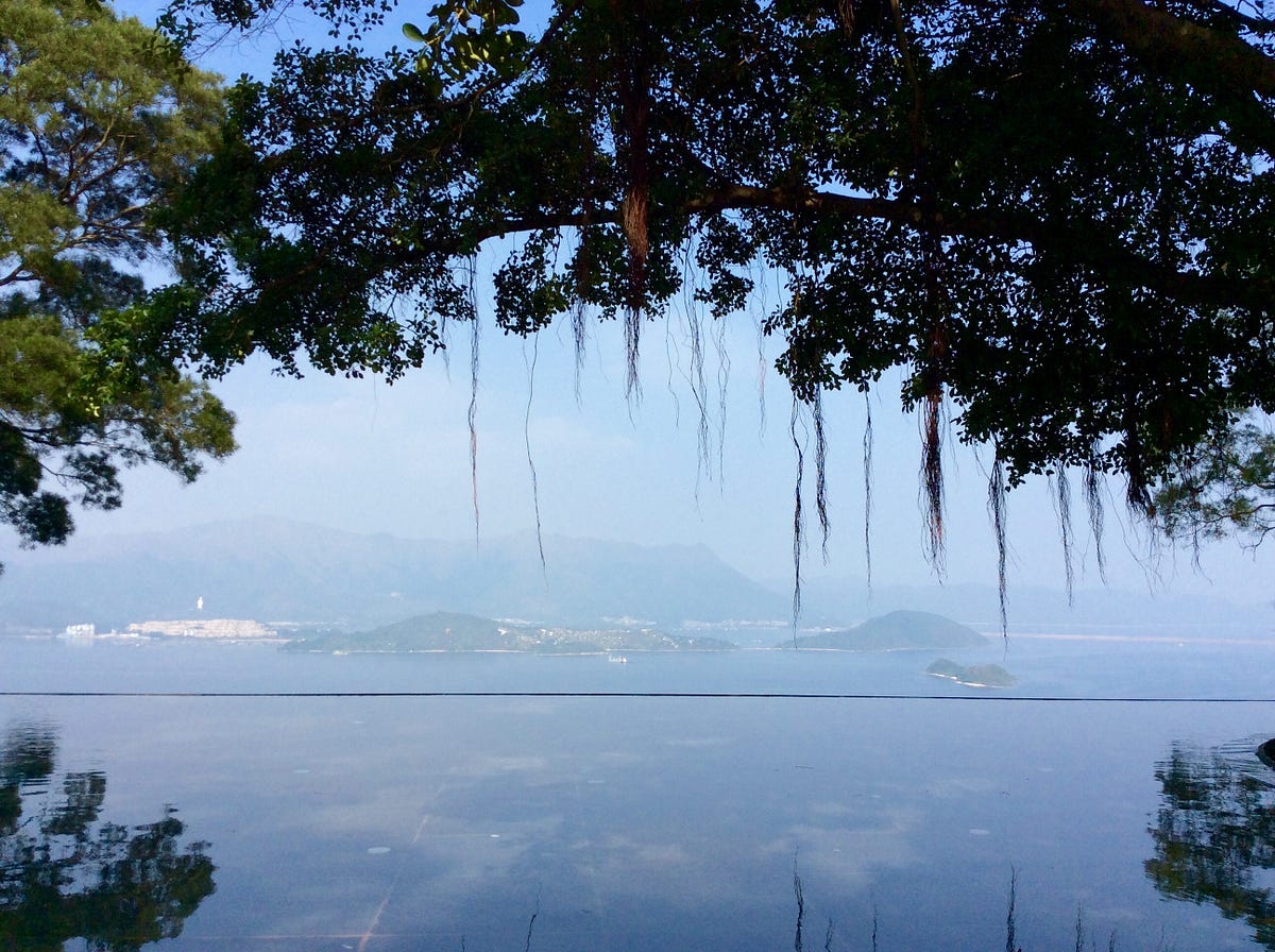 e.e.cummings: somewhere i have never travelled | by Huanfeng Cheng | Medium