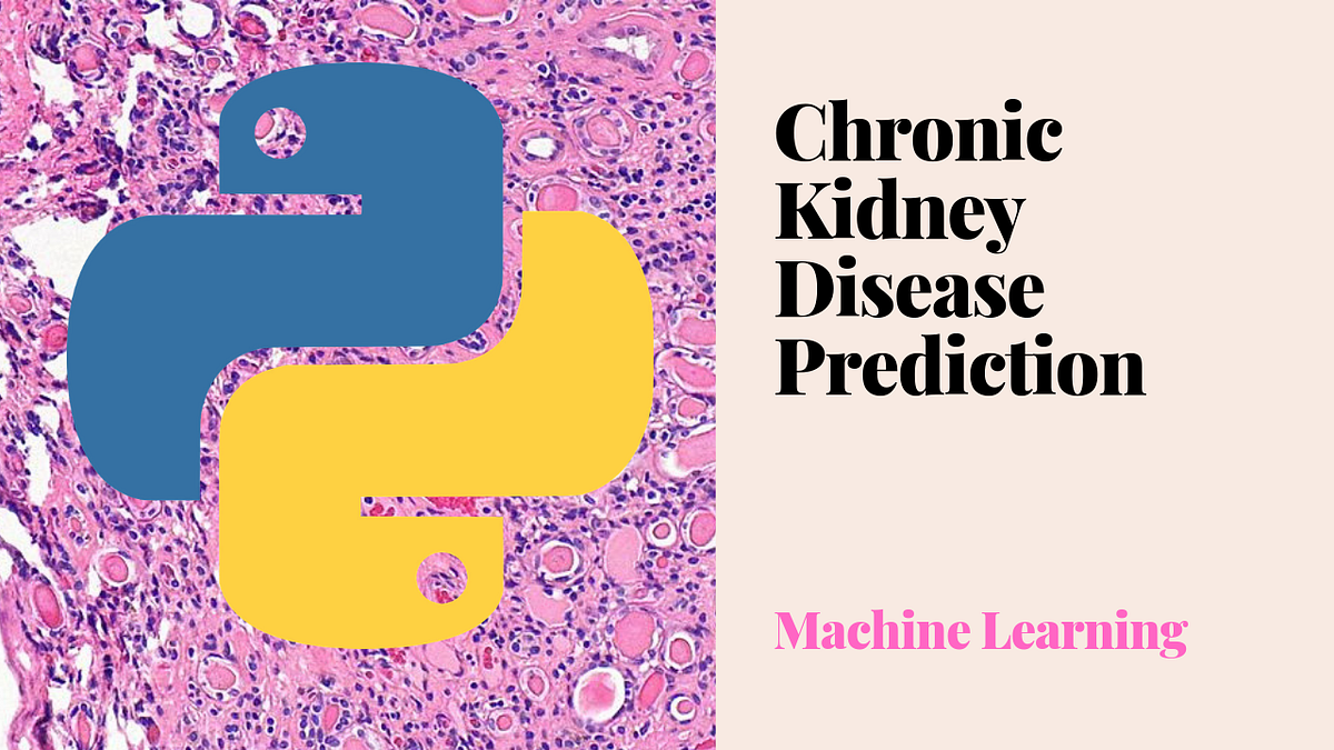Chronic Kidney Disease Prediction Using Python & Machine Learning | by randerson112358 | Medium