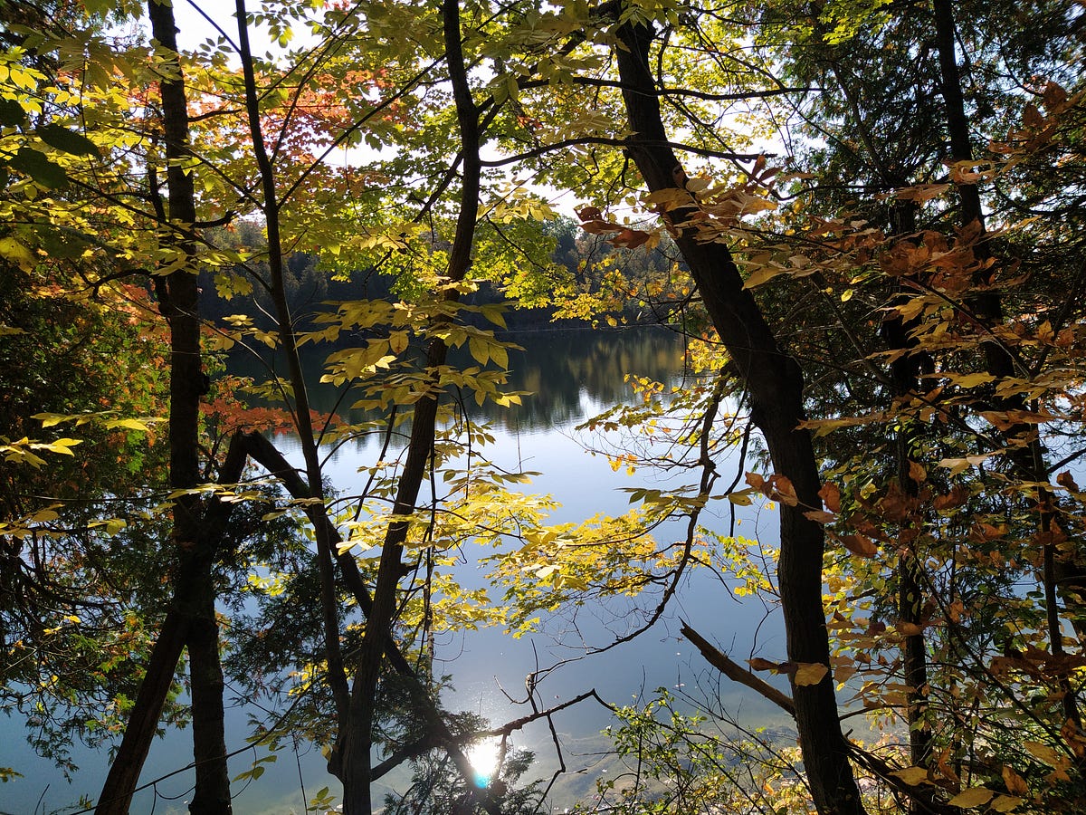 It’s Still Summer in Ontario. The flowers of October | by Kua Lina ...