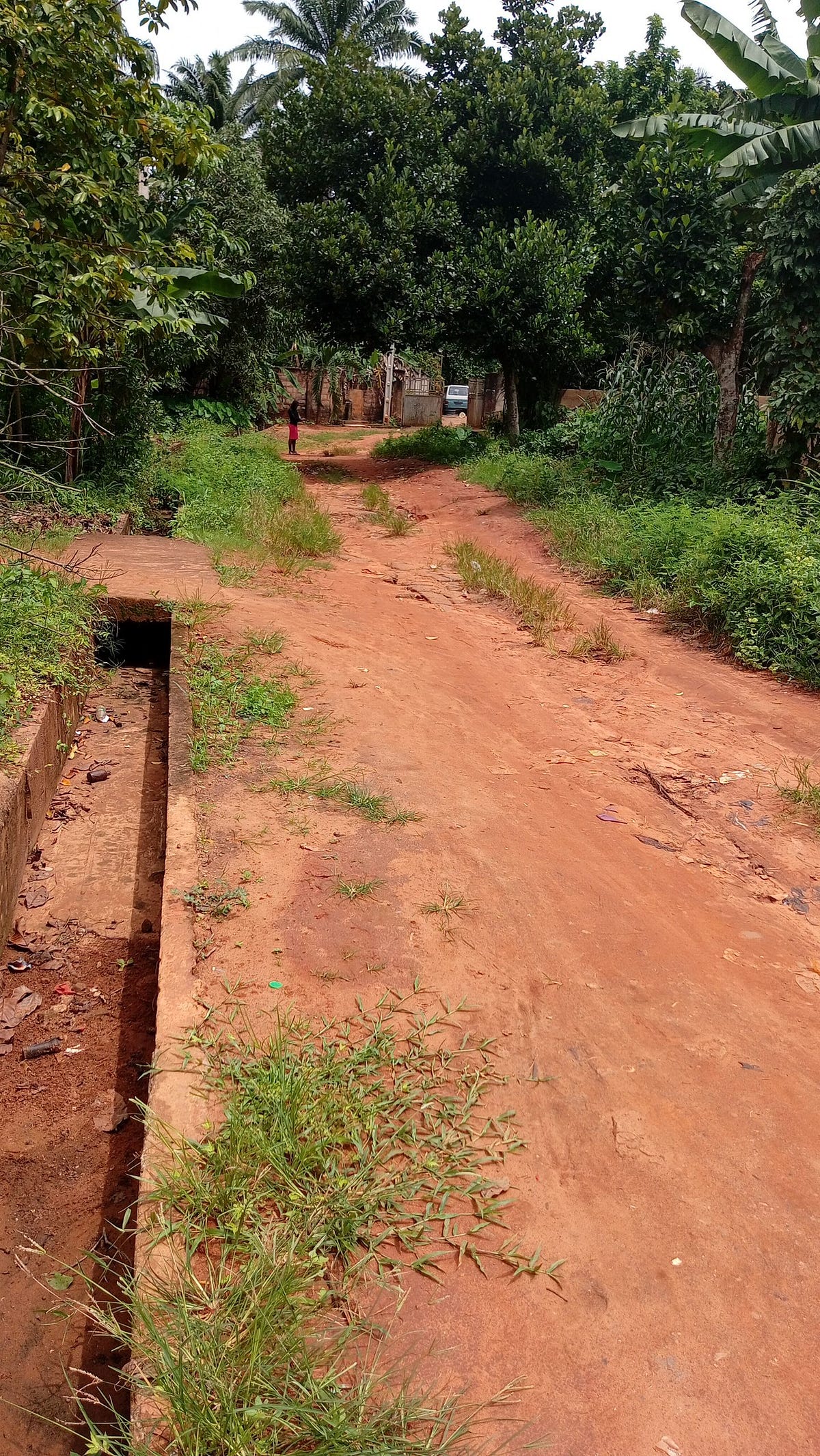 Somewhere in the world 🌎 Choices are a funny thing. An old, familiar ...