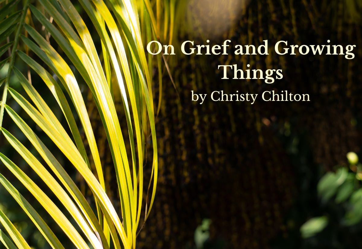 On Grief and Growing Things- Christy Chilton | by Christy Chilton | May ...