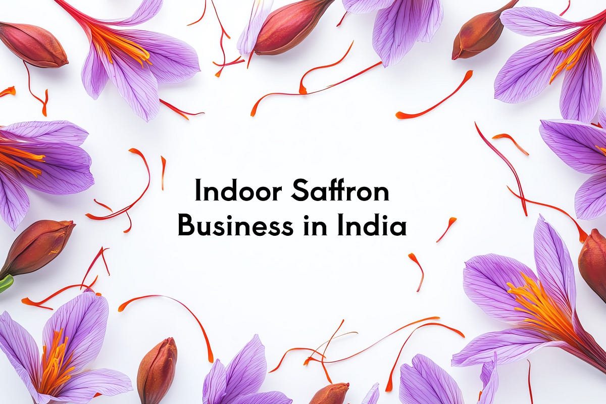 From Dream to Reality: How to Start a Successful Indoor Saffron ...