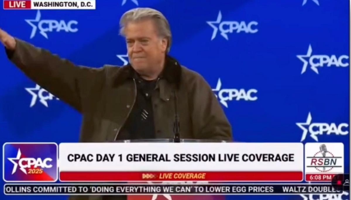 HOW MANY NAZI SALUTES BEFORE MAGA CAN BE CALLED NEO-NAZI ORG | by Nom ...