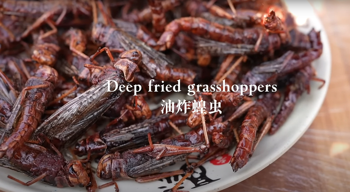 EATING ANTS and Other Delicacies on a Chinese Street Market: My ...