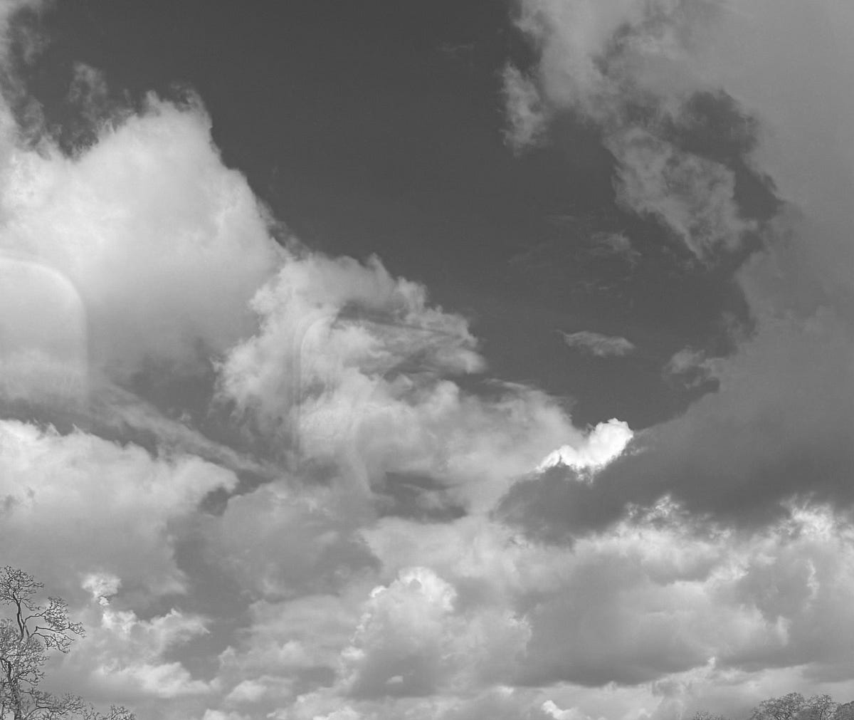 An Impossible Peace - Doe-eyed Awe - Medium