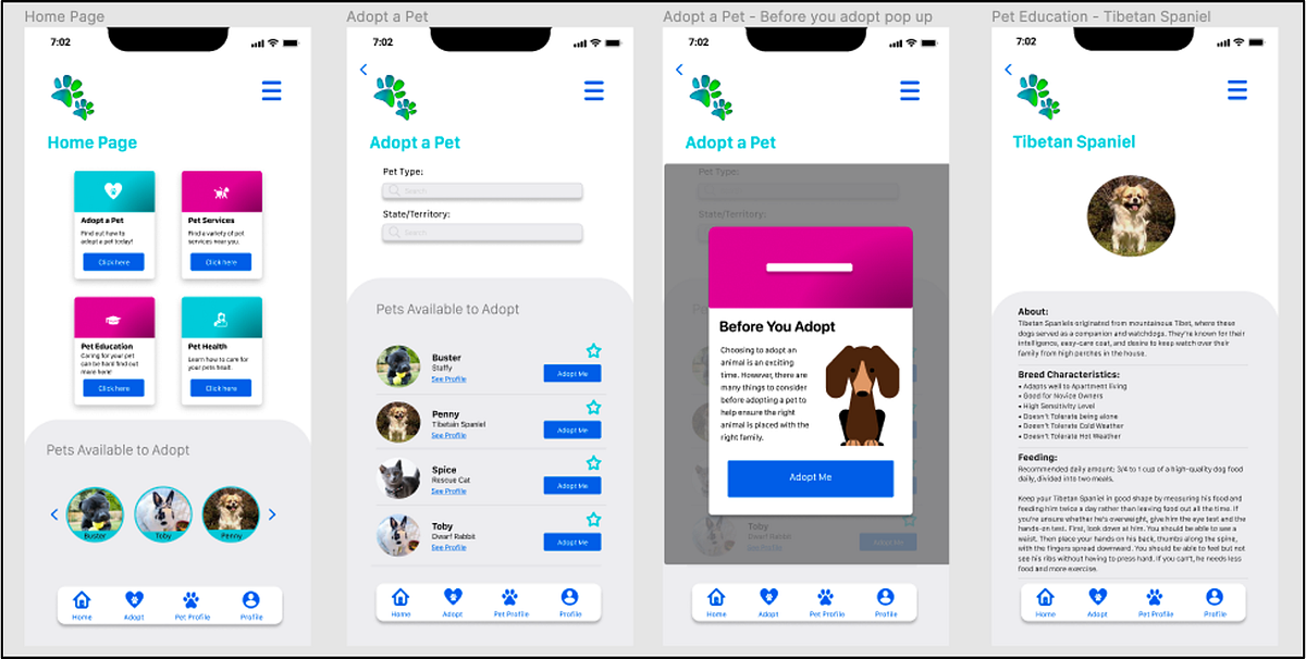 The 7-step framework to influence RSPCA design brief | by Mikayla ...