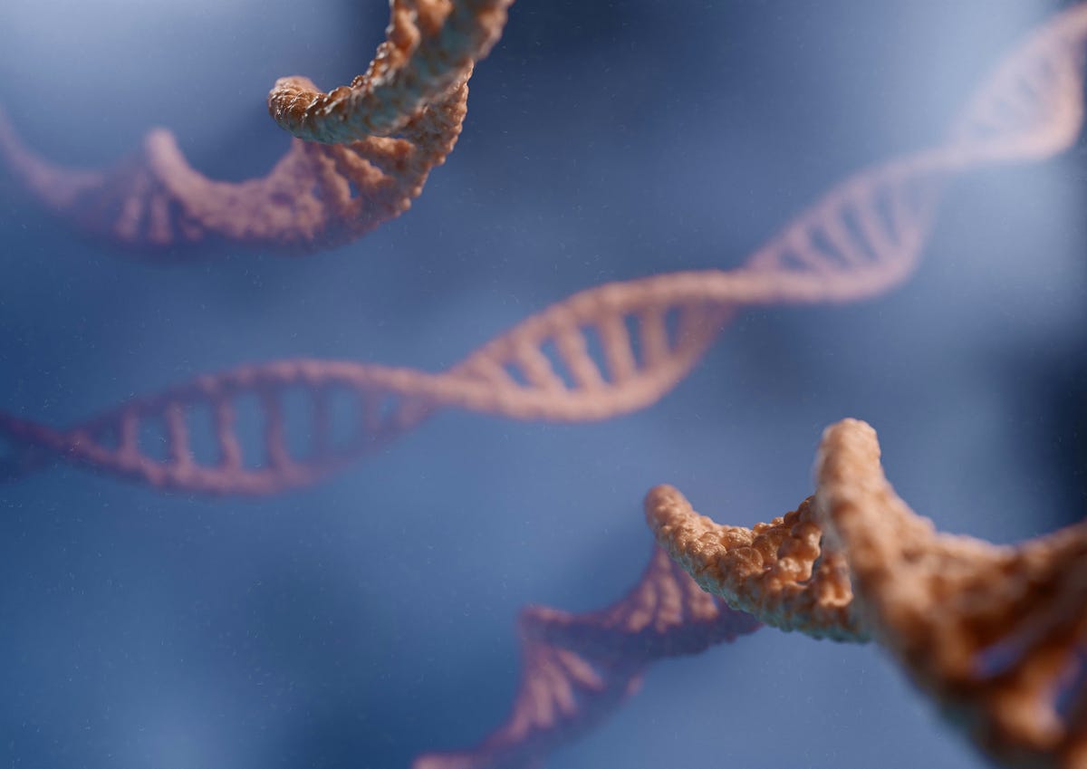 The Slut Gene. We all have nubbins for rubbin | by Nicole Peeler ...