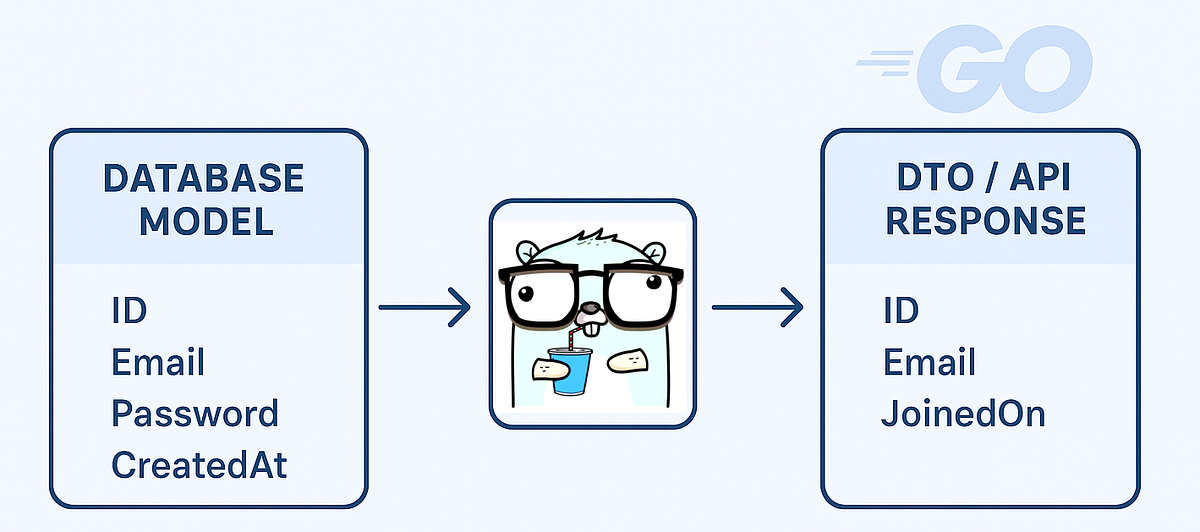 Designing Effective Data Transfer Objects (DTOs) in Go Applications | by Gopher | Sep, 2025 ...