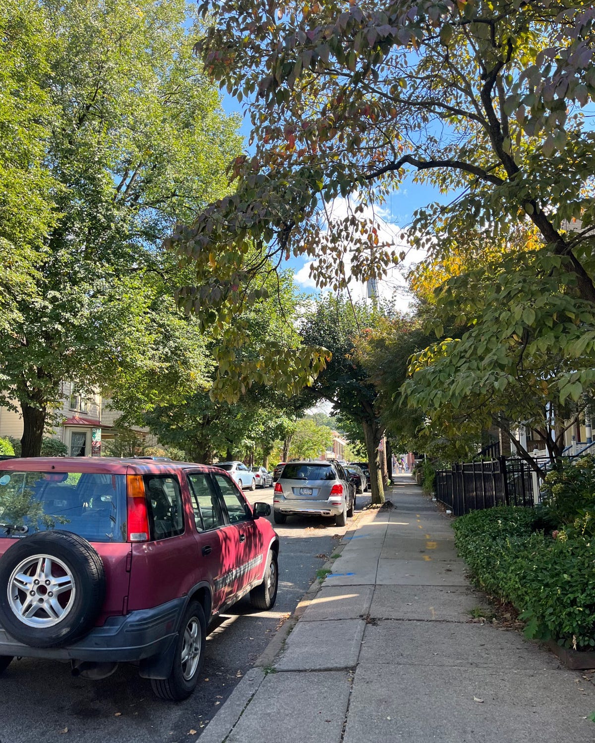 Ivy Street & Elmer Street. August 31, 2022 | by Saylor Frankel | Medium